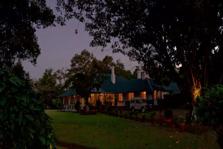 Luxury wildlife stays that you must try out this season | Times of ...
