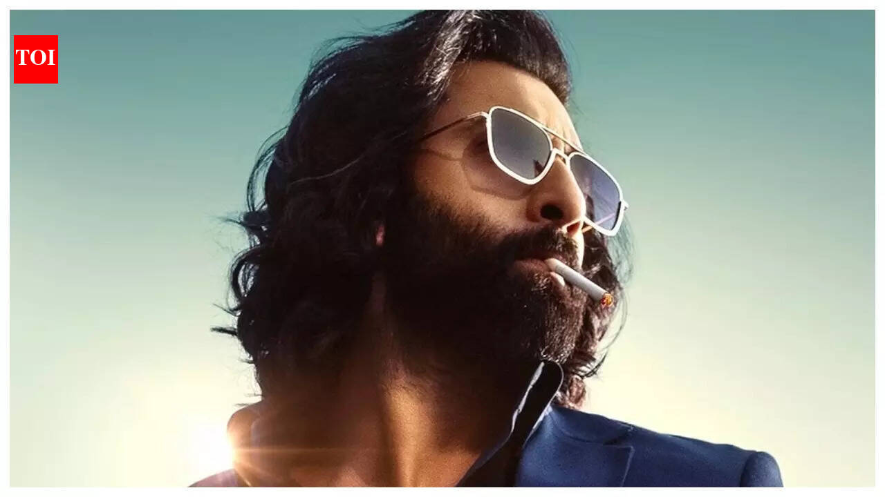 Animal movie review and box office collection LIVE Updates: Box ...