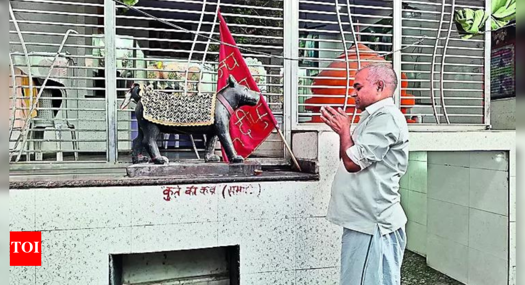 A temple in UP where a dog is the deity | Meerut News - Times of India
