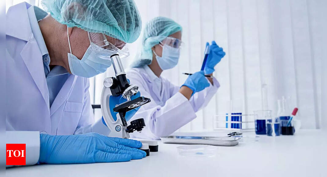 Tiny ‘robots’ created from human cells might heal wounds: Study - The ...