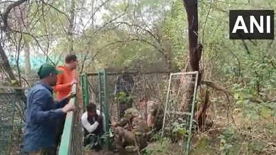 Leopard spotted in Delhi's Sainik Farm area | Delhi News - Times of India