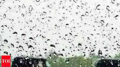 Rainfall: Moderate Rainfall For Next 2 Days | Kochi News - Times of India