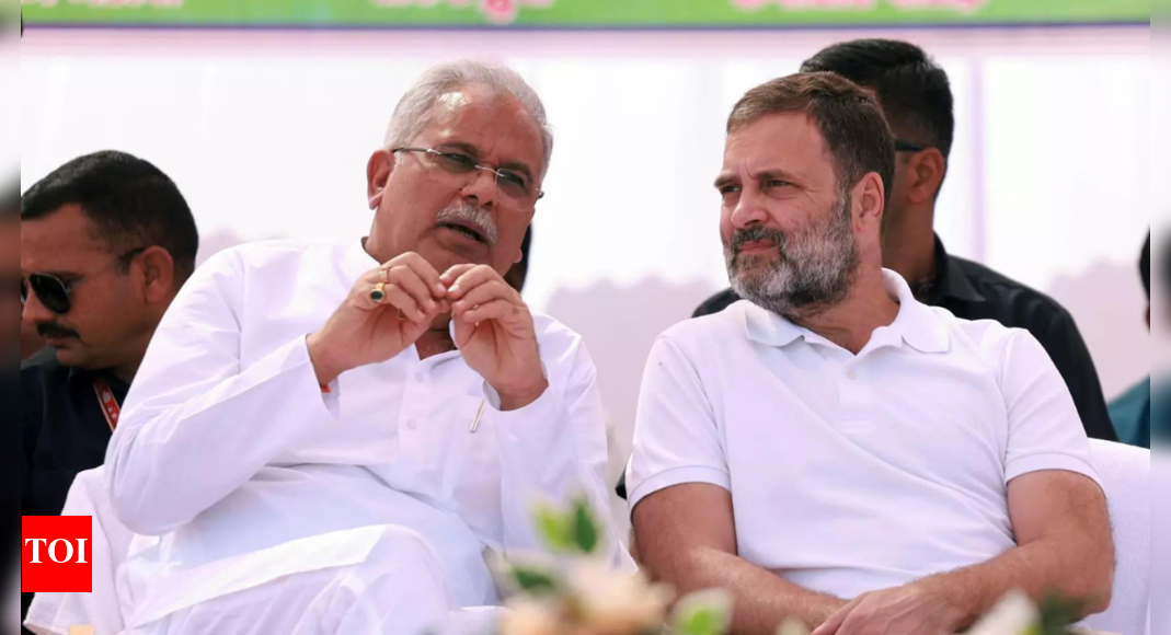 Chhattisgarh election results: Caste census plan fails to gain traction ...