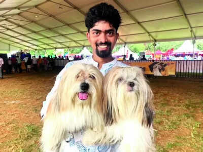 Indigenous Dog Breeds: Indigenous Dog Breeds Growing In Popularity ...