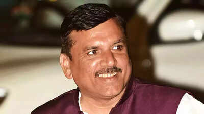 Excise ‘scam': Delhi court extends AAP leader Sanjay Singh's judicial custody till Dec 11 ...