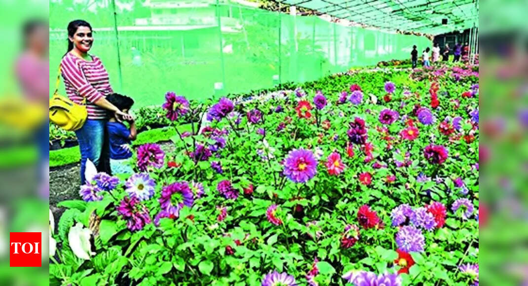 Ananthapuri Flower Show: Spectacular Ananthapuri Flower Show at World ...