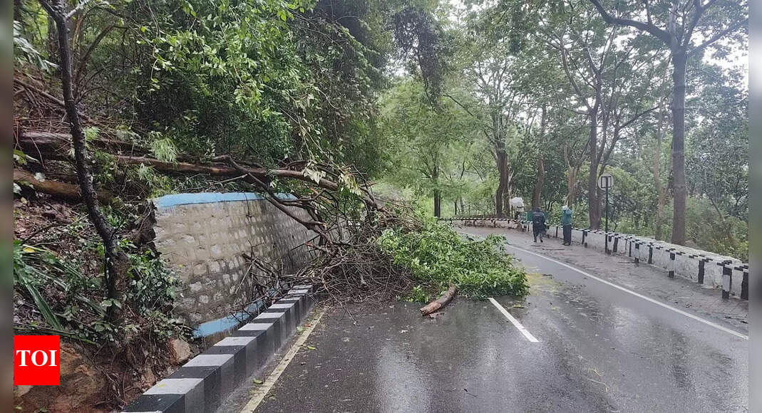 Cyclone Michaung: Heavy rains cause flooding in parts of Andhra Pradesh ...