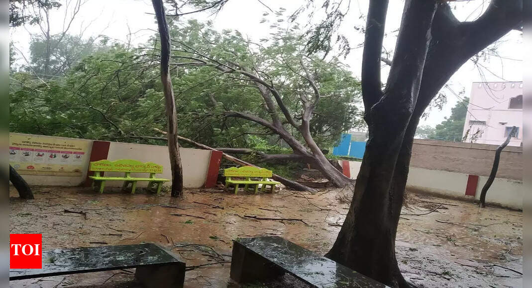 AP Cyclone News: Cyclone Michaung hits coastal Andhra Pradesh; strong winds cause damages to ...