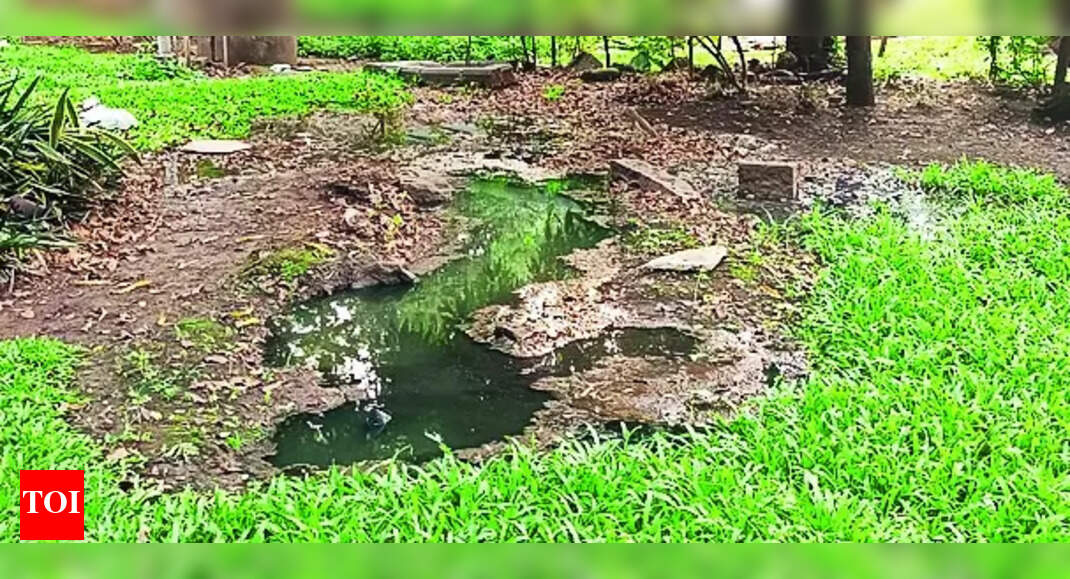 Sewage Overflow Sewage Overflow In Town Hall Garden Raises Concerns In