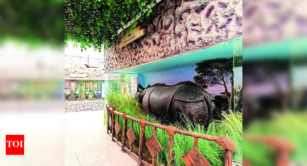 State Museum: State Museum Opens New Natural History, Painting, and ...