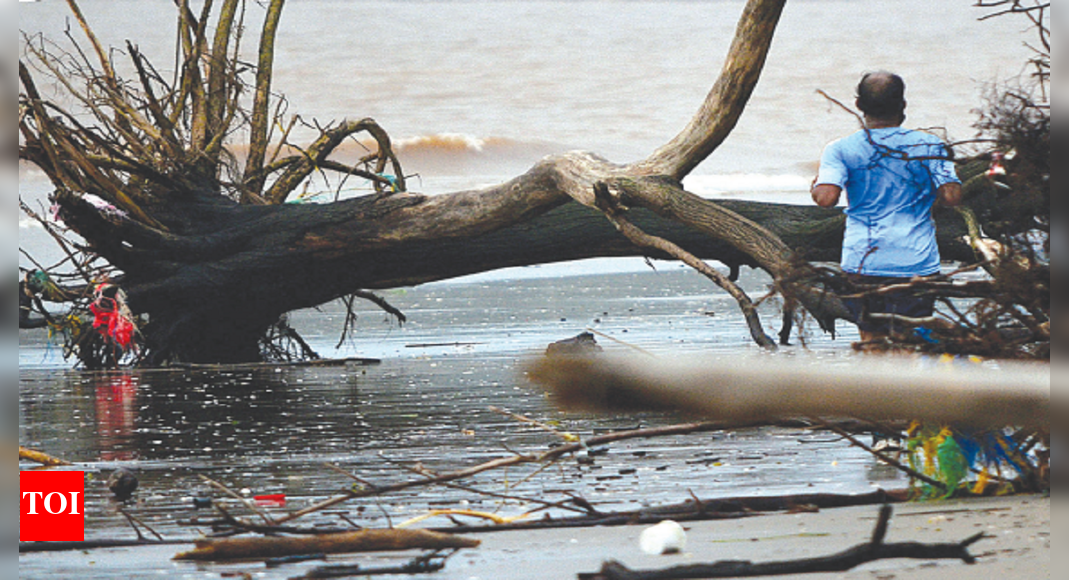 Arctic Warms: As Arctic warms, expect more cyclones in Arabian Sea ...