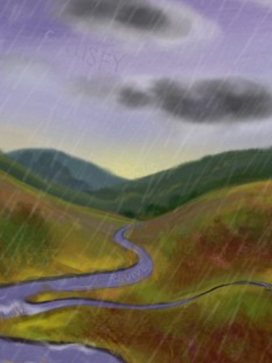 Spot 12 Hidden Words Inside Landscape Picture In 15 Seconds | Times Now