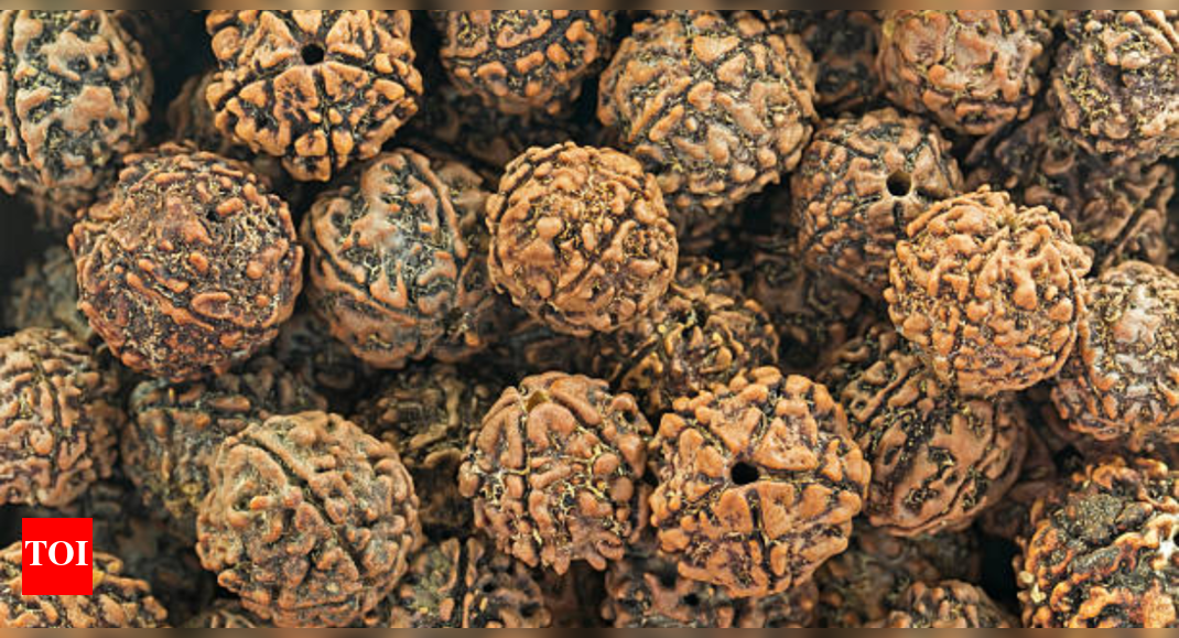 A guide to Do's and Dont's of wearing a Rudraksha - Times of India