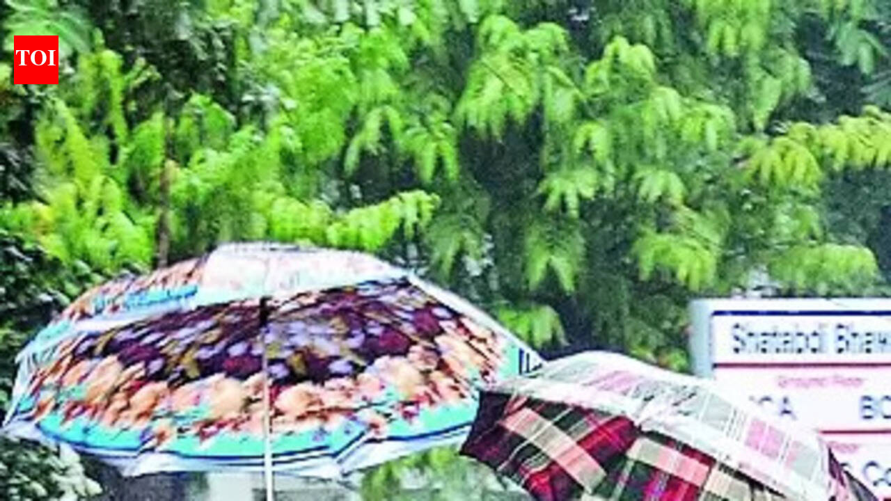 Weather: Weather Update: Temperature Drop Expected in Patna | Patna ...