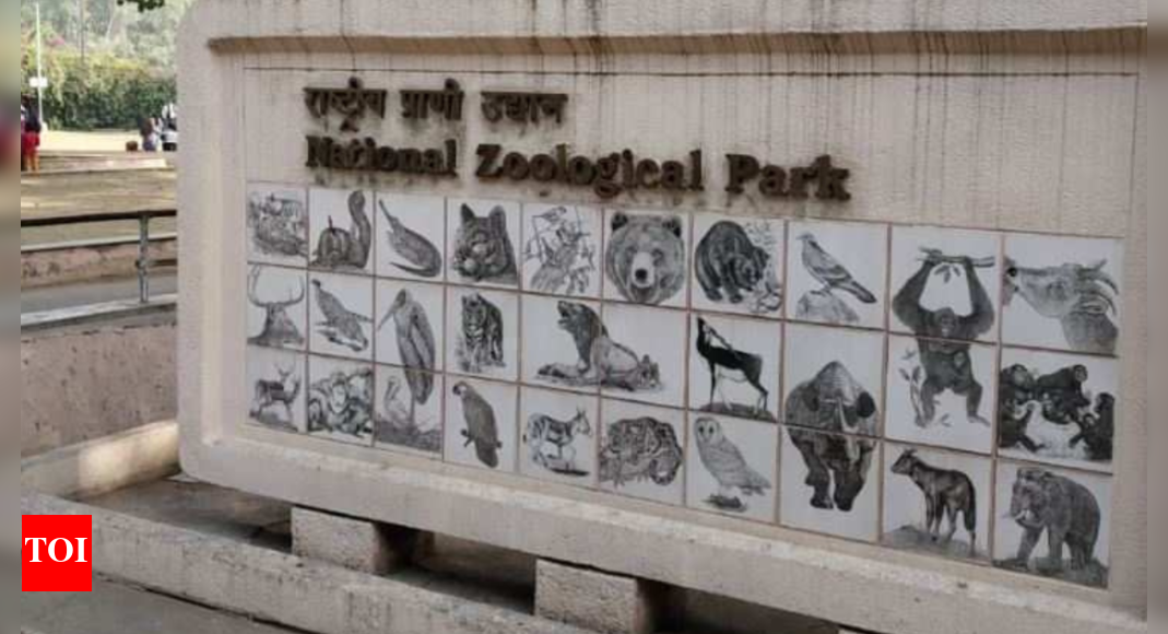 Zoo: Zoo Saw Over 1 Cr Visitors In 5 Years: Data | Delhi News - Times ...