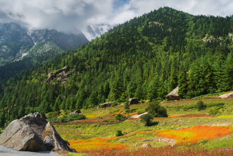 Pretty Himachal villages for your memorable winter vacation | Times of ...