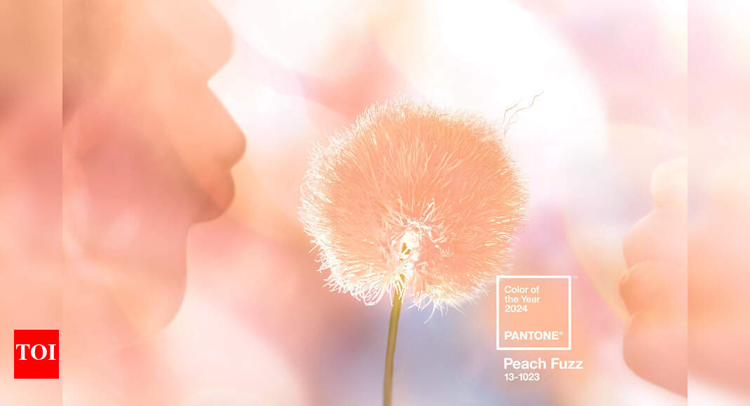 Why Is Pantone Color Of The Year Important - Infoupdate.org