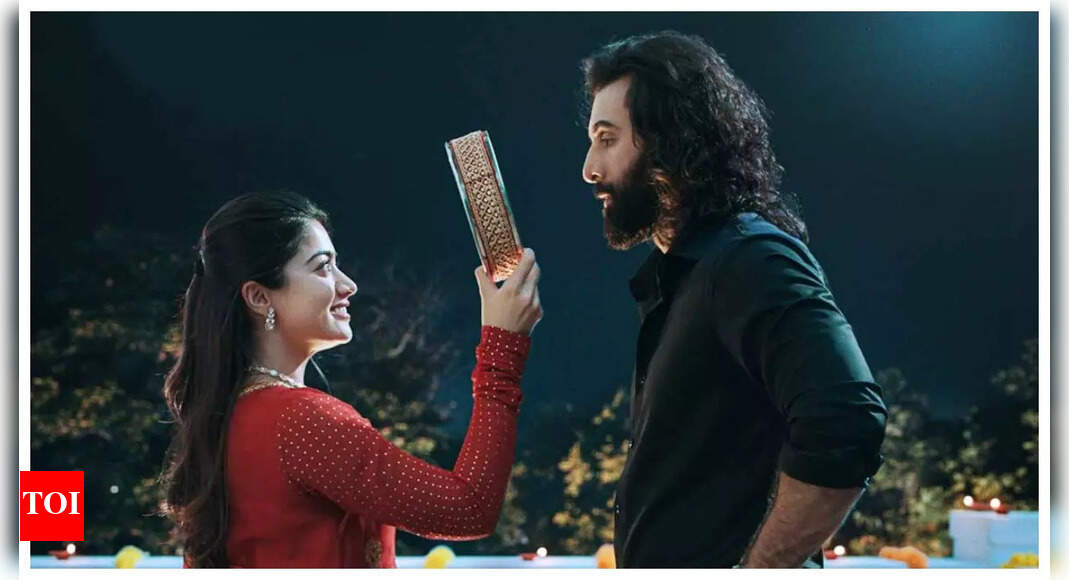 ‘Animal’ box office collection day 8: Ranbir Kapoor and Rashmika ...