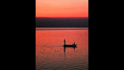 Cold: Brrr... Cold Ahead; 14 Respite for Now | Bhopal News - Times of India