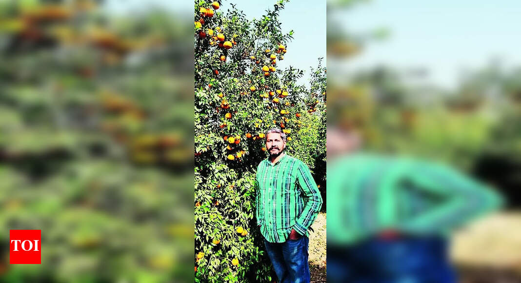 Reviving Kinnow Industry: Model Farms and Scientific Techniques ...