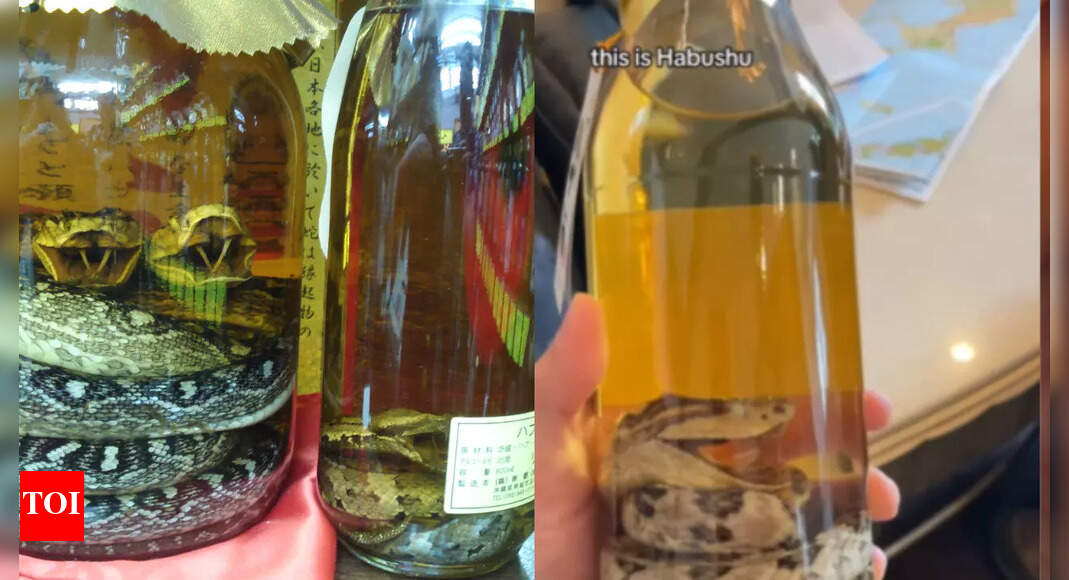 What makes Japan's Habushu Snake Whiskey a peculiar elixir? - Times of ...