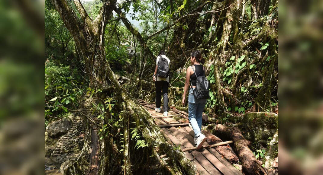 Charms of Meghalaya: The naturally blessed state of India | TimesTravel