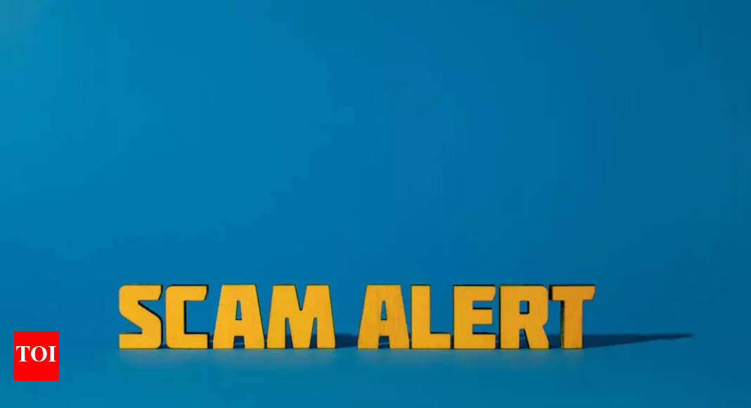 Explained: What are various types of online shopping scam and tips to ...