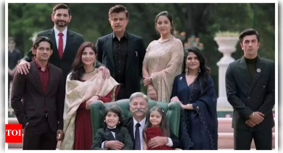 'Animal' box office collection day 11 early estimates: The Ranbir ...