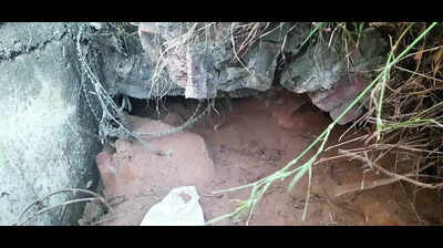 Security Scare: Security Scare: 4ft Pit Outside Hindon Airbase ...