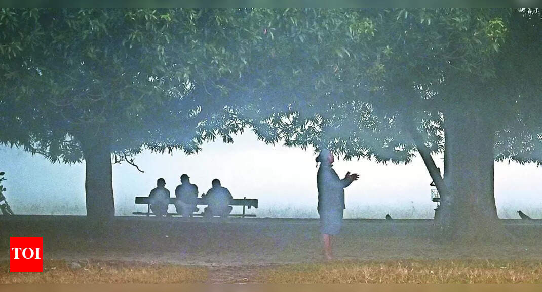 Minimum Temperature: Min Temp Falls 2 Degrees in 24 Hrs to Touch 15 ...