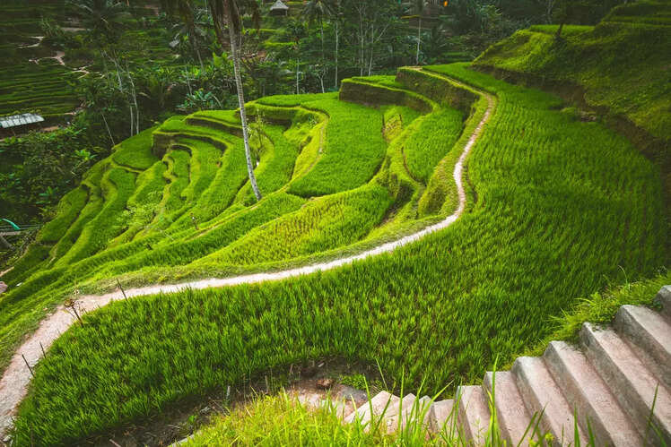 Bali : New Year travel: Offbeat experiences to add to your Bali ...