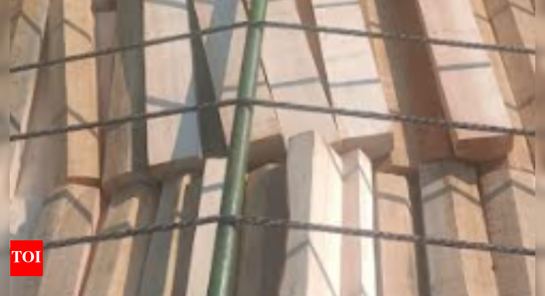 Kathua Police seizes Kashmir 'willow clefts' worth Rs 50 Lakh, one held ...