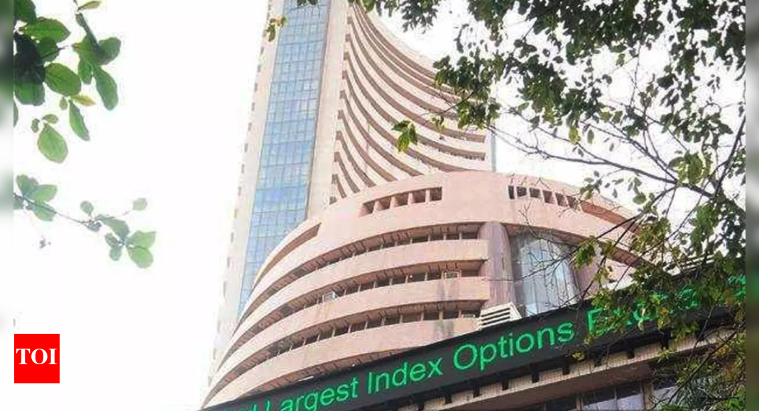 Sensex: Sensex takes breather after record rally - Times of India