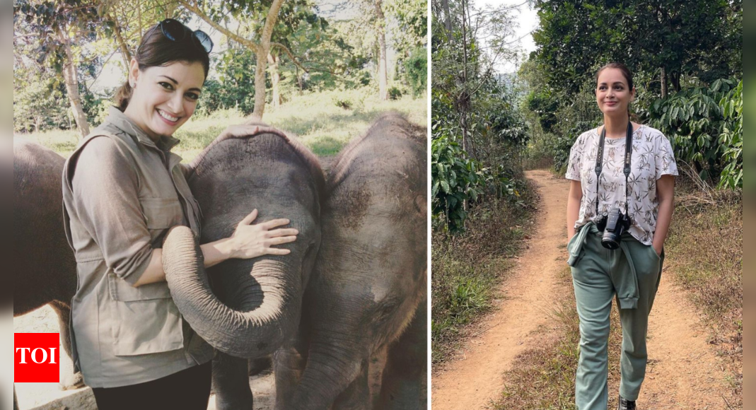 PETA India names Dia Mirza as the Person of the Year for advocating the ...