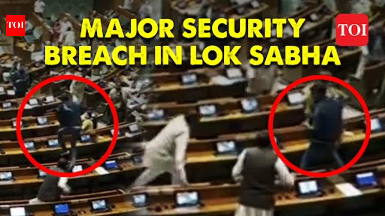 Major security breach in Lok Sabha on Parliament attack anniversary ...