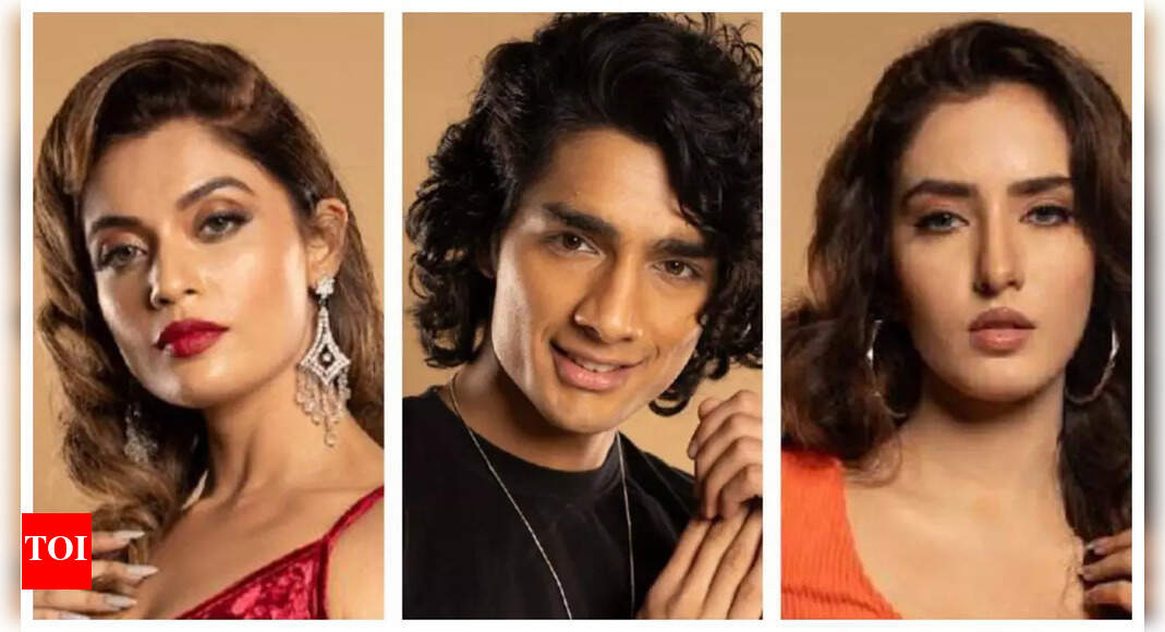 After Lara Dutta and Priyanka Chopra, director Suneel Darshan all set ...