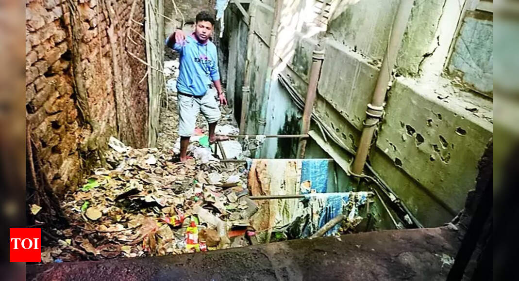 Rescue Dog: Animal Lovers, Dmg Rescue Dog Stuck In Pit For 1.5 Years ...