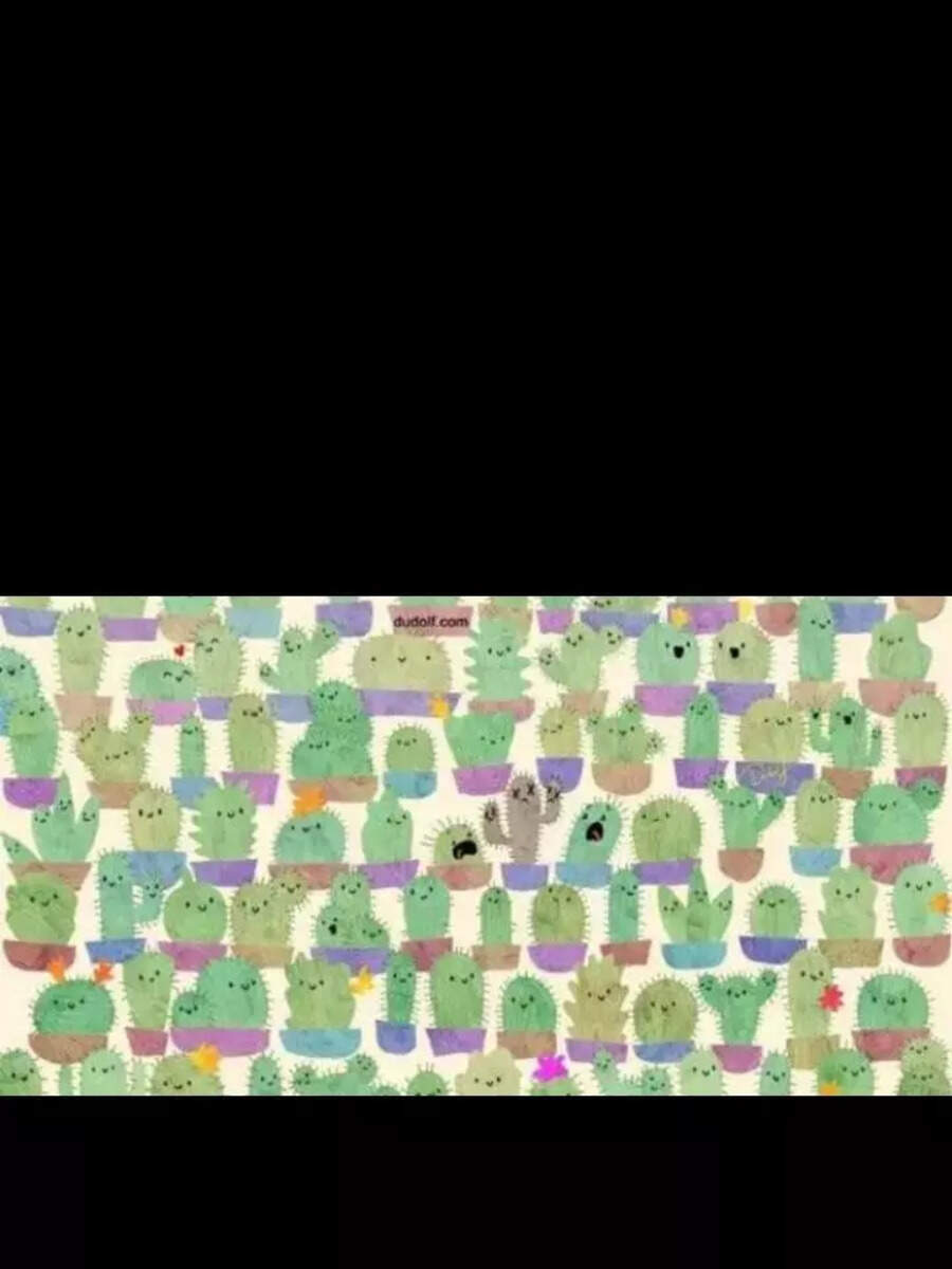 Optical Illusion: Spot The Hidden Apple In The Image In 10 Seconds ...