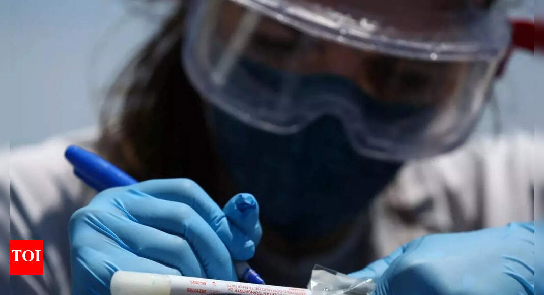Bird Flu: Bird flu spreads in Europe with a delay after warm autumn ...