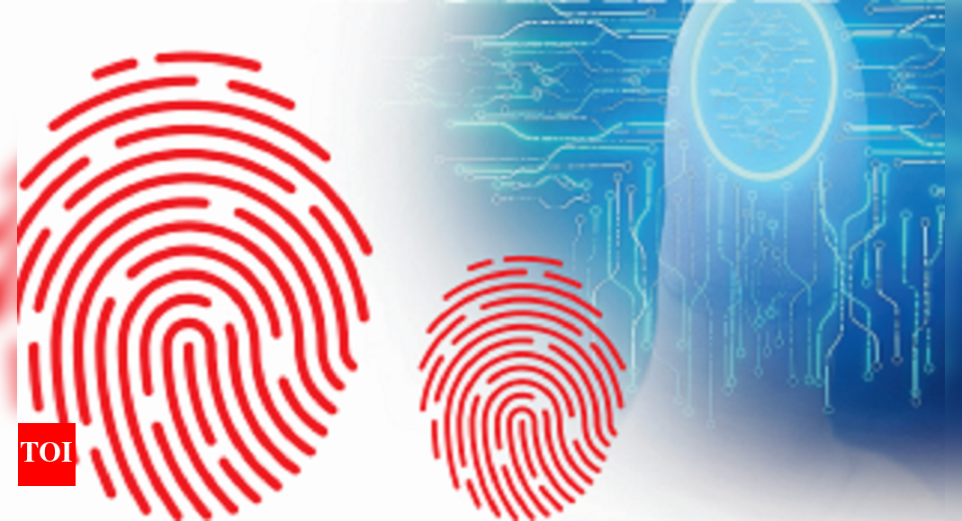 The Fine Print Between Crime & Punishment | Delhi News - The Times of India