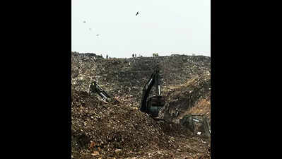 MCD: MCD to Start Bio-Fencing Around Bhalswa Landfill in January ...