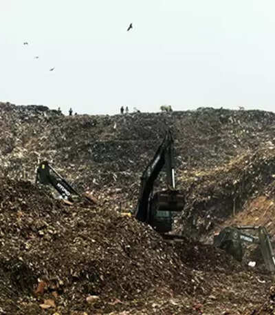 MCD: MCD to Start Bio-Fencing Around Bhalswa Landfill in January ...