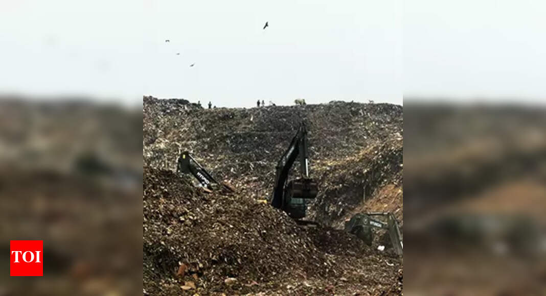 MCD: MCD to Start Bio-Fencing Around Bhalswa Landfill in January ...