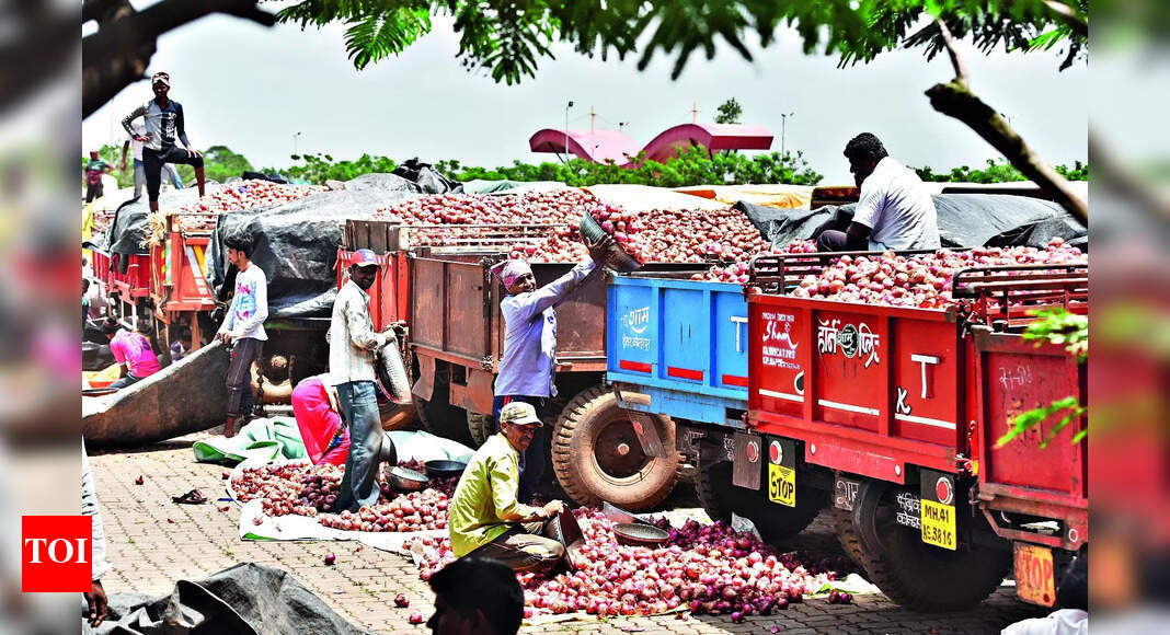 Onions: NCCF Procures 540 Tonne Onions from Nashik Farmers in Two Days | Nashik News - Times of ...