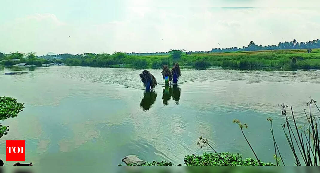 Kummanur Villagers: Kummanur Villagers Seek High-Level Bridge Across ...