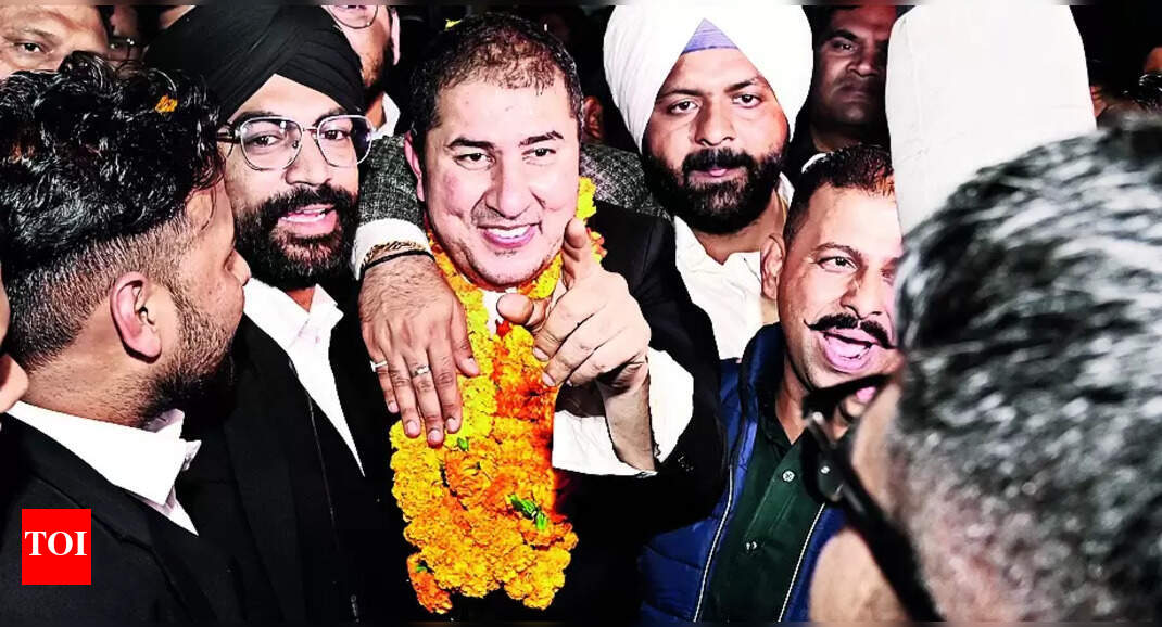 Advocate Vikas Malik: Advocate Vikas Malik elected as president of HCBA | Chandigarh News ...