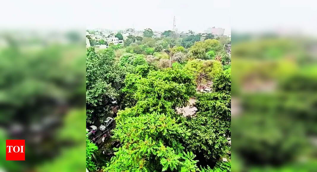 Tree Census: MC Conducting Tree Census to Monitor Green Cover in ...