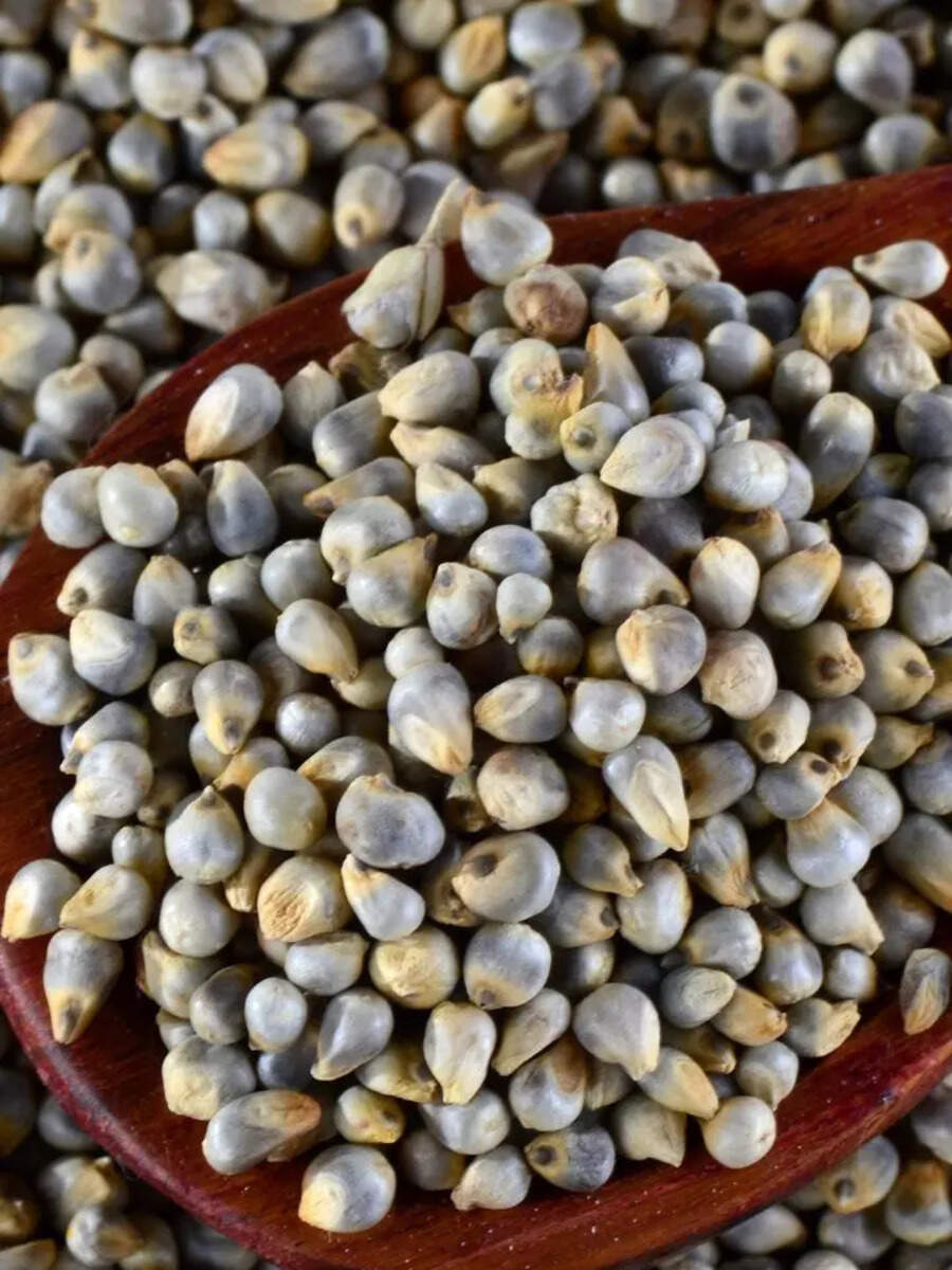 Bajra Dishes: 9 must-try bajra dishes for winter months | Times of India