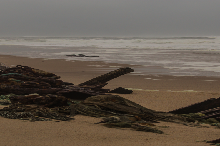 World's most haunted beaches | Times of India Travel