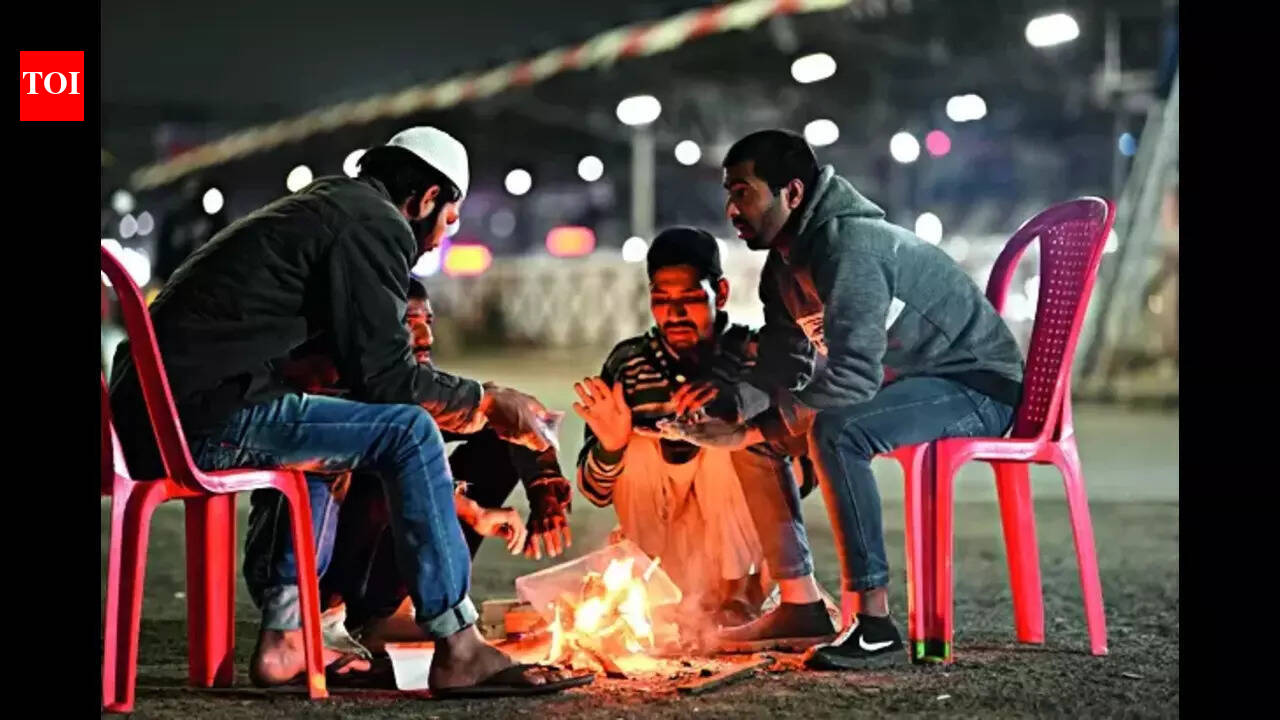 Cold: Brrr... Cold Ahead; 14 Respite for Now | Bhopal News - The Times ...